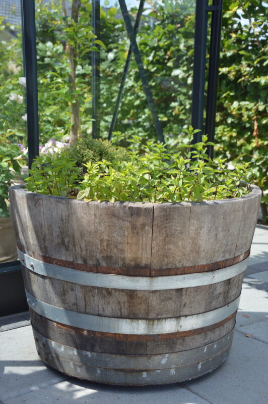 Inspiration - Scan-Pot